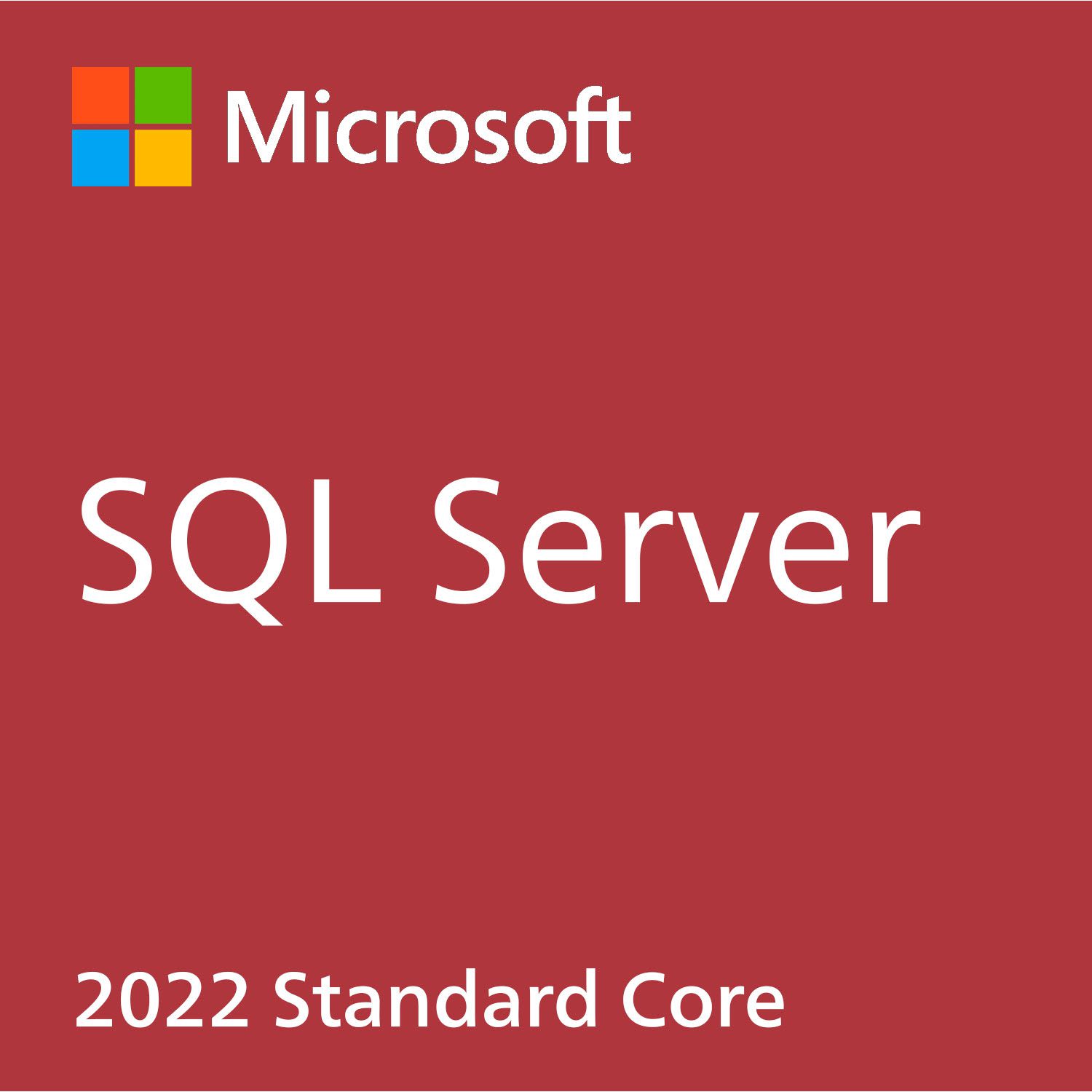 SQL Server Standard 2022 Perpetual | Plaisio.gr
